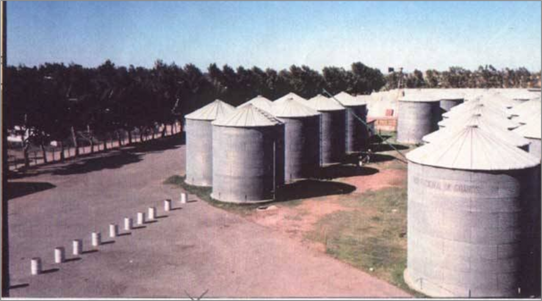 Comercio Exterior: SILOS DE ACOPIO EN CNEL DORREGO - Adrián Mercado