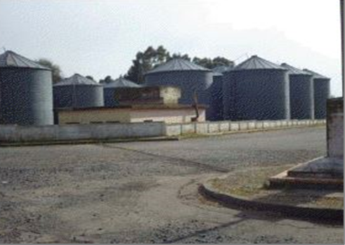 Comercio Exterior: SILOS DE ACOPIO EN CNEL DORREGO - Adrián Mercado