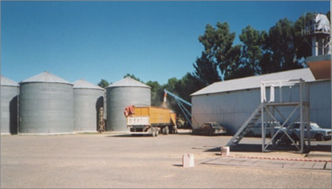 Comercio Exterior: SILOS DE ACOPIO EN CNEL DORREGO - Adrián Mercado